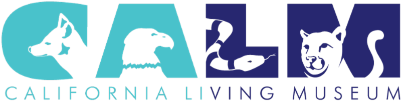 Subscribe | CALM Zoo