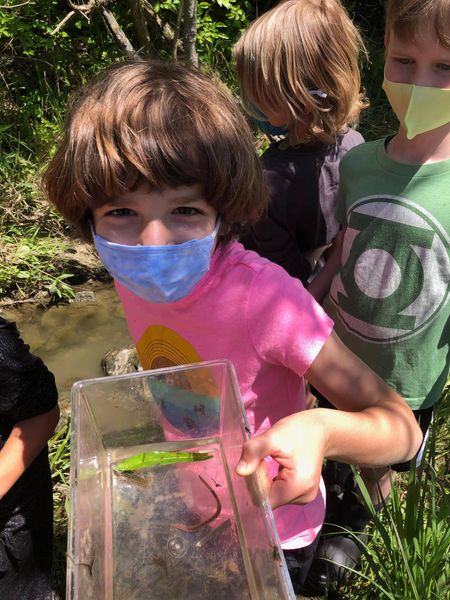 CJDS June Newsletter, the Ma Koreh