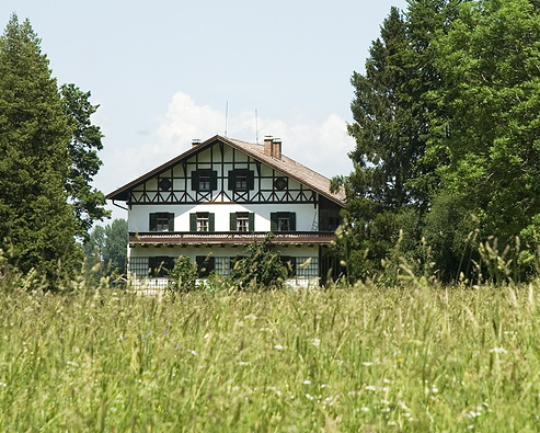 Shrum Family Newsletter!