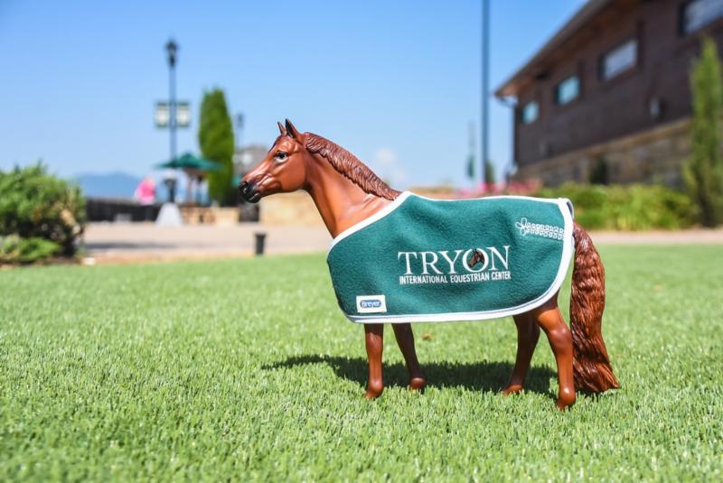 Tryon International Equestrian Center