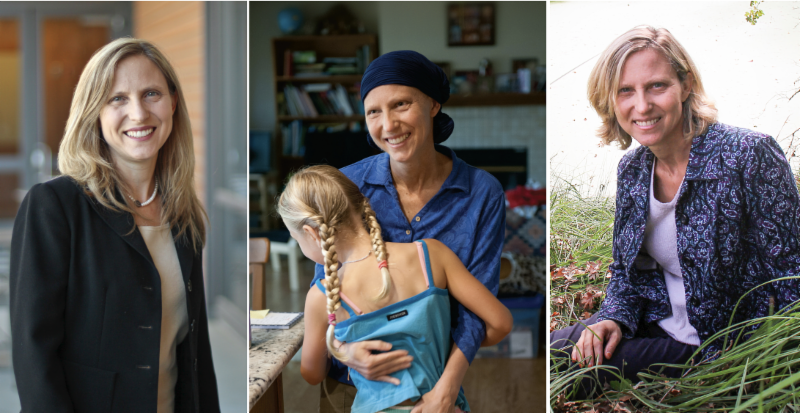 Celebrating the Publication of Professor Lesley McAllister’s Festschrift