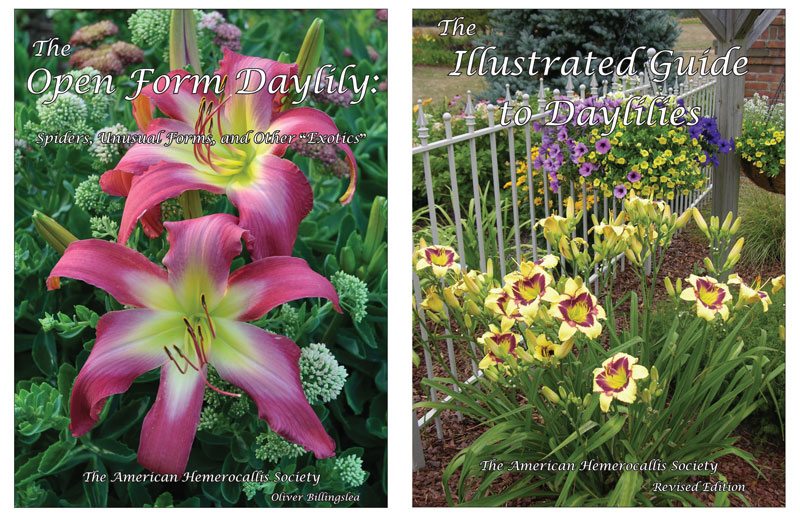 Daylily eNews - New Look, New Voice