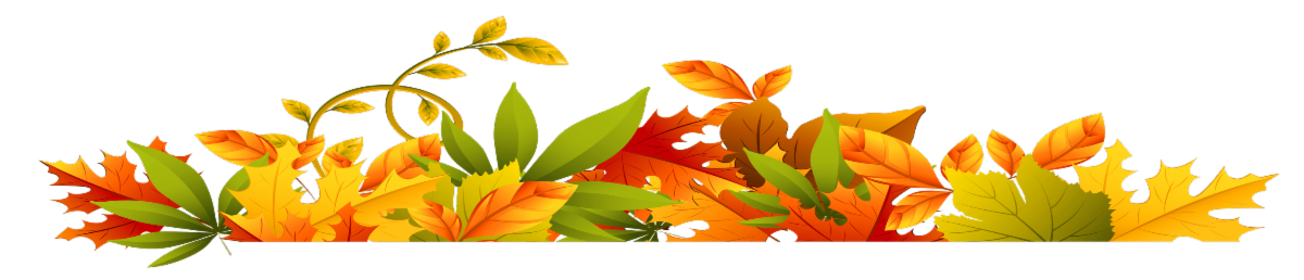 Senior Fall Luncheon