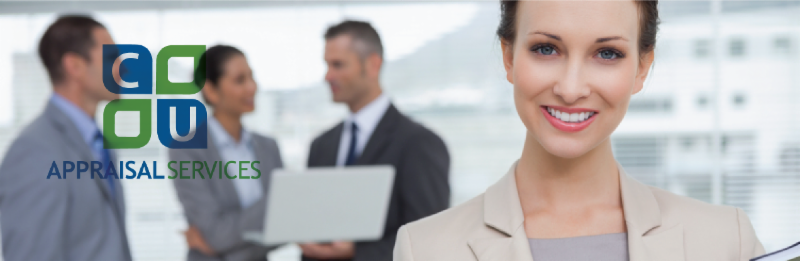 What you need to know about Fannie Mae Collateral Underwriter and more!