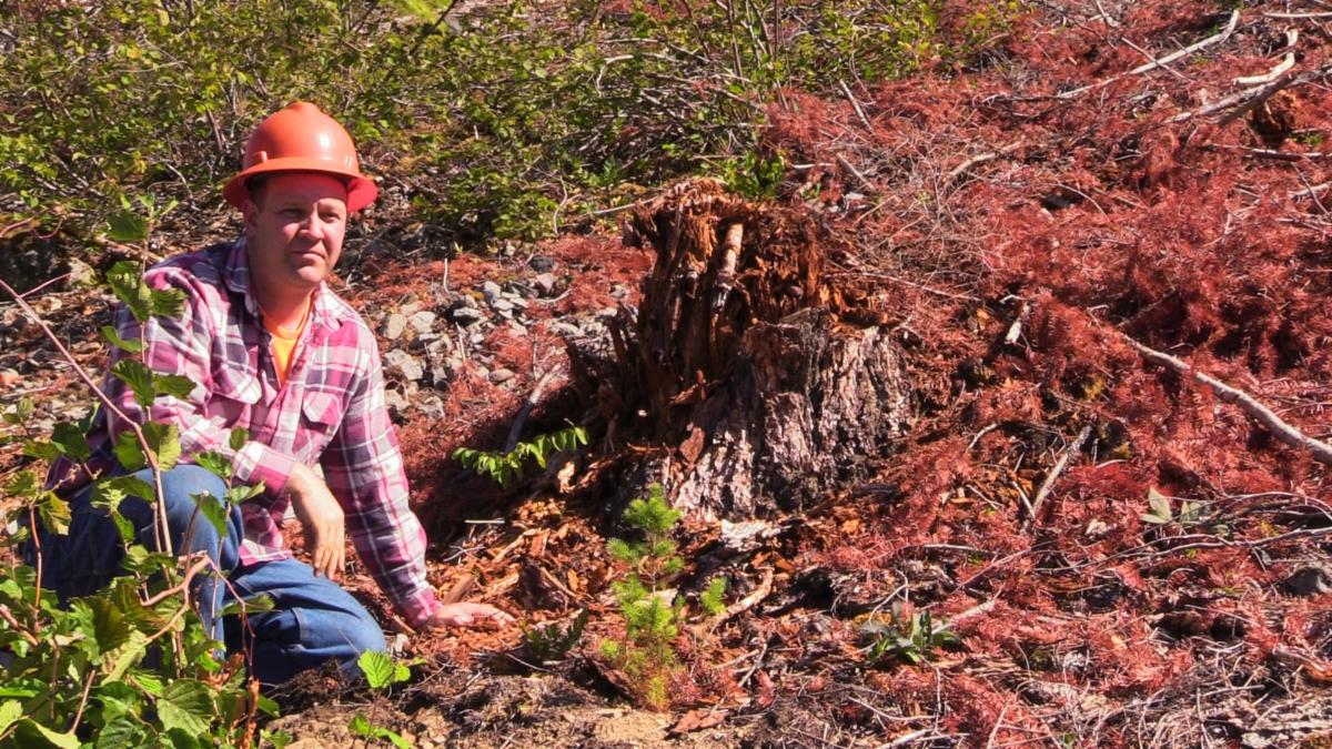 Planning Your Time at the 82nd Oregon Logging Conference