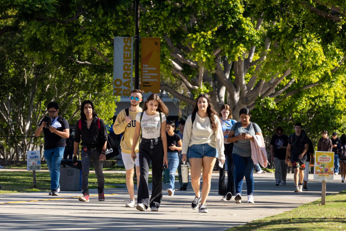 CHHS Fall 2024 Newsletter