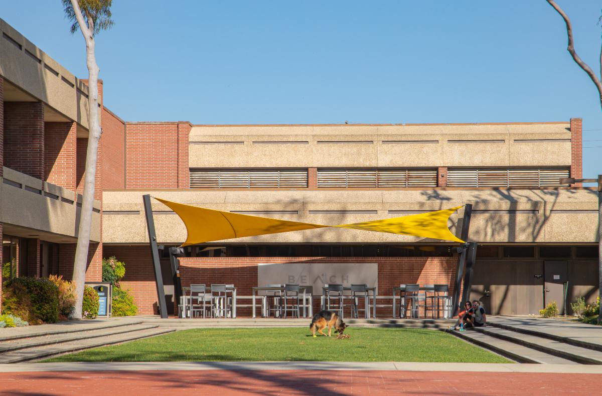 CHHS Fall 2024 Newsletter