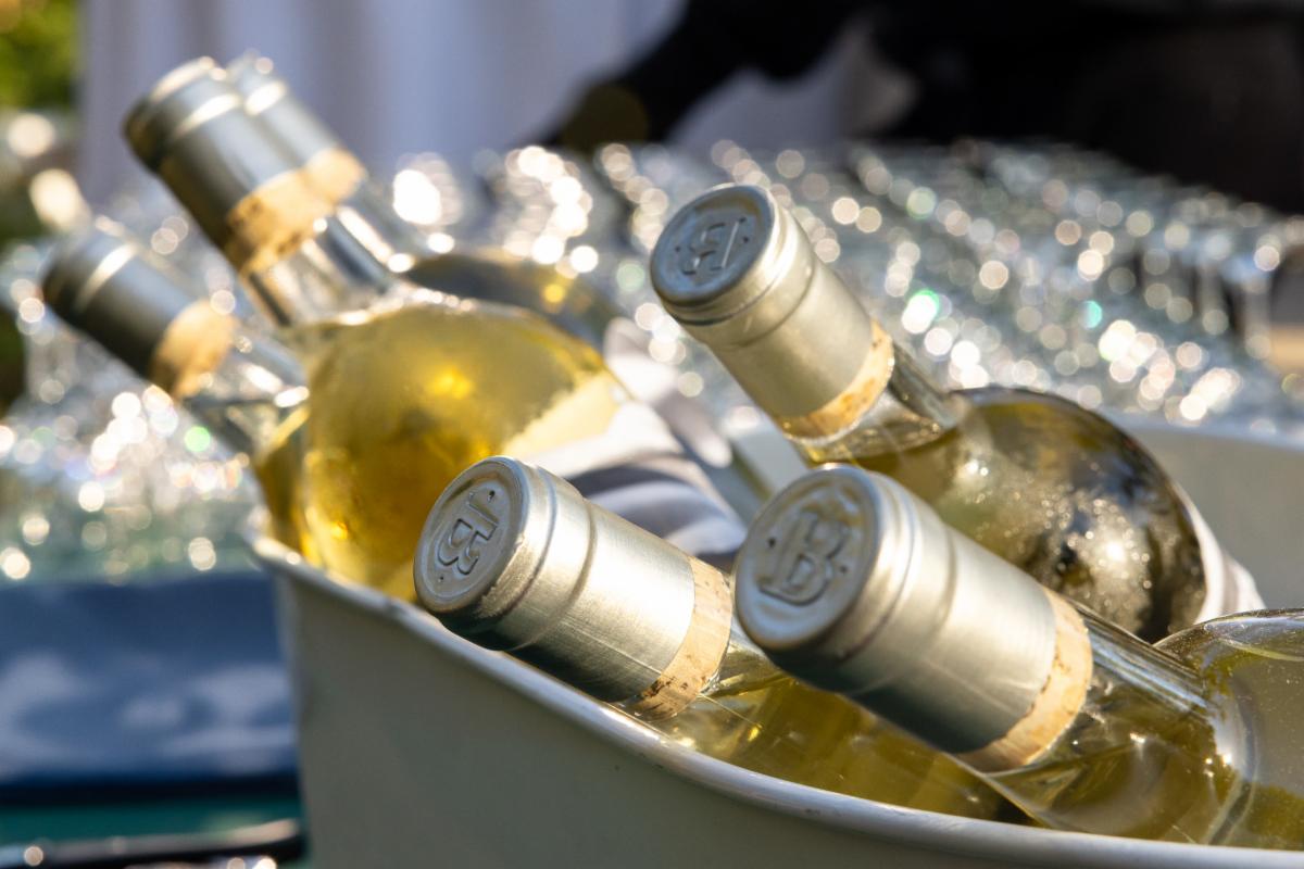 CHHS Fall 2024 Newsletter