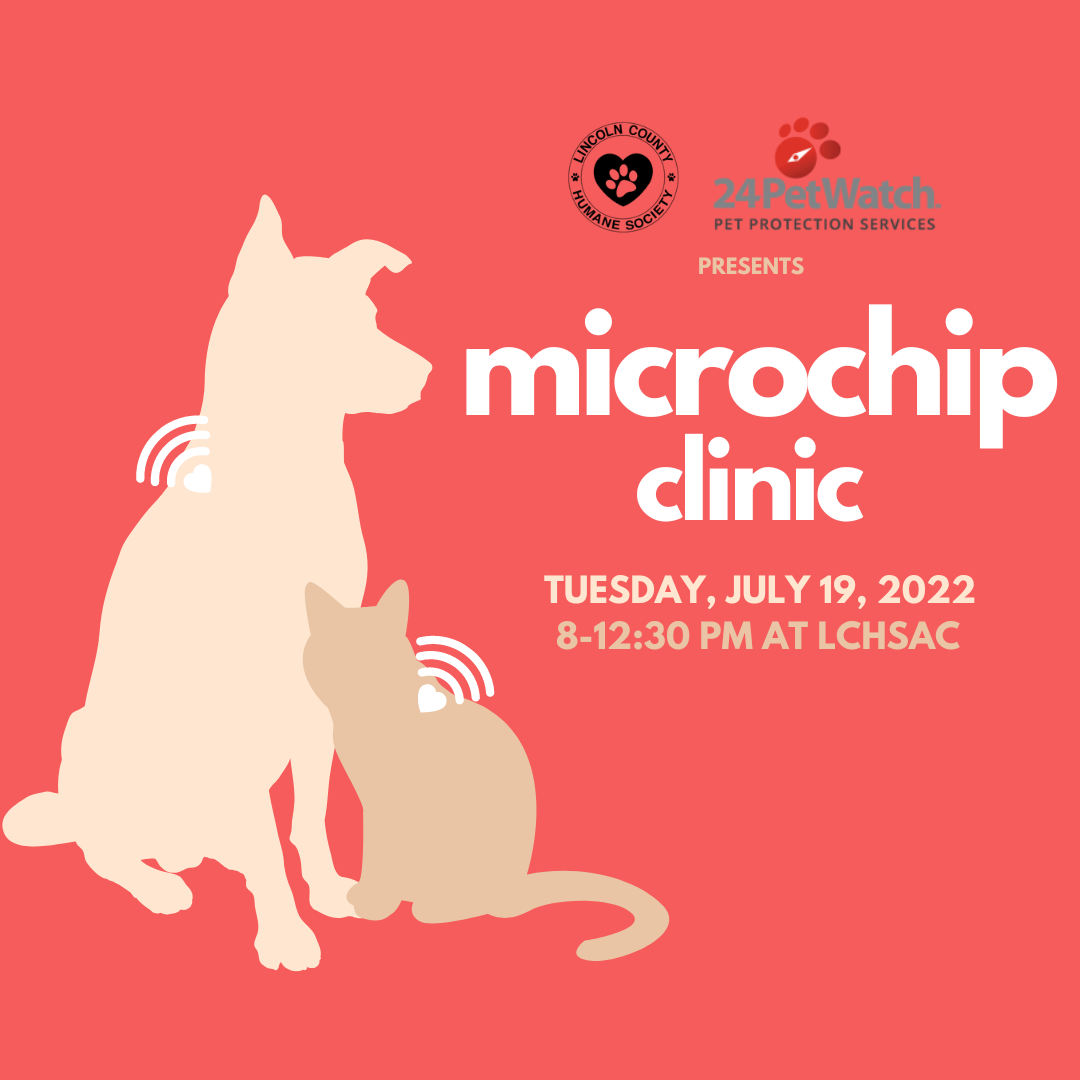 Is Your Pet Microchipped?