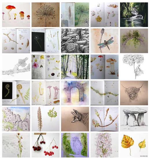 BEYOND THE BRUSH WITH CLAIRE WARD AND JULIA TRICKEY VIDEO