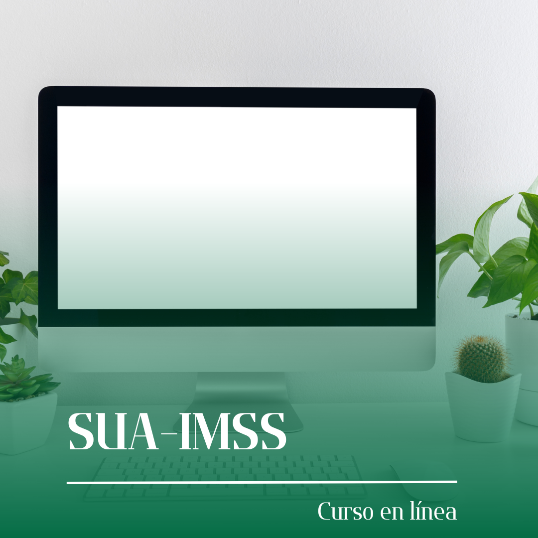 Curso: SUA IMSS en Línea