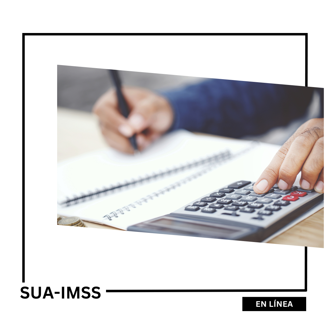 Curso: SUA IMSS en Línea
