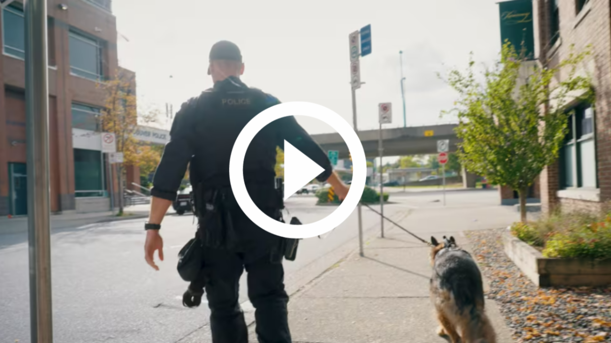 We're All in This Together.