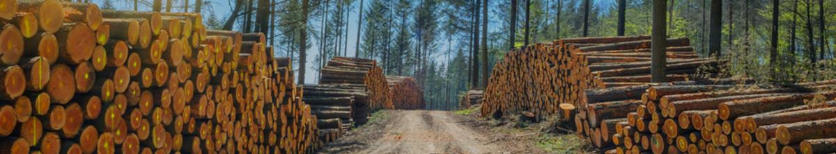 Persistence Pays Off