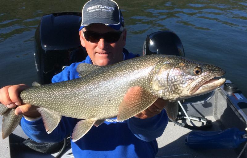 Understanding Gamefish Strike Zones | All Creation Outdoors