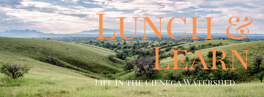 CWP Lunch & Learn - Recording Available- Michael Bogan of The ...