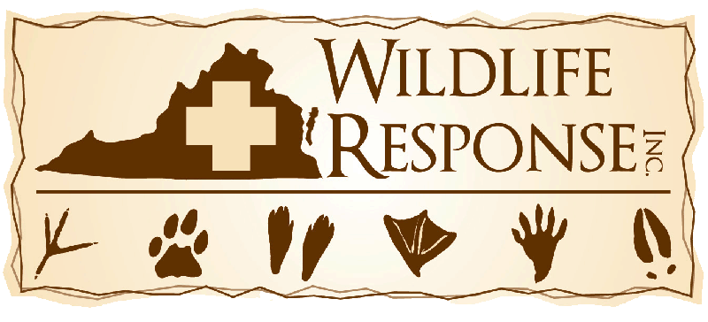 WRI Annual Membership Meeting