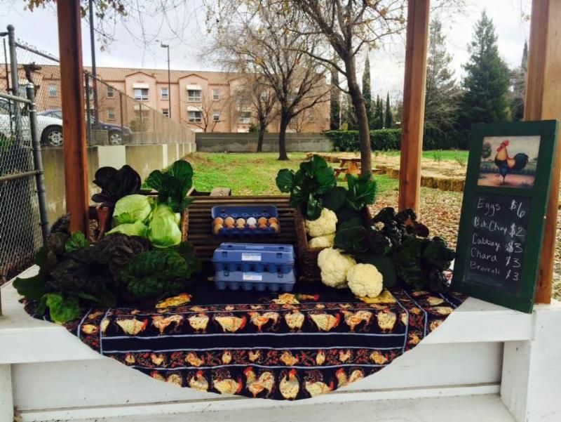 WUSD e-News: Thursday, March 31, 2016