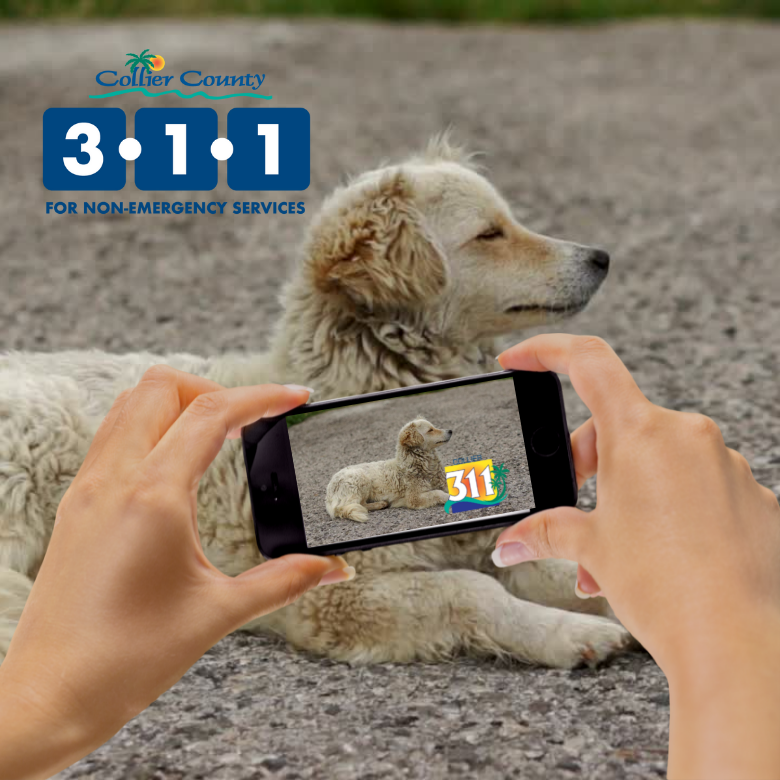 The latest news for you