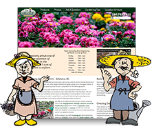 A thanks from The Greenery! | The Greenery Garden Centre