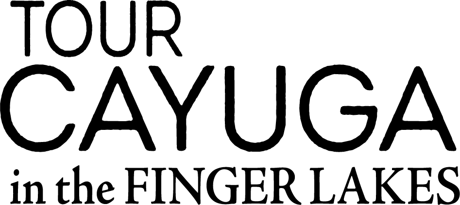 Happy Thanksgiving-November Newsletter