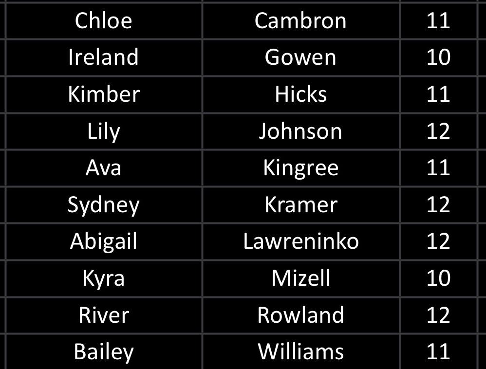 Volleyball Academic All-State